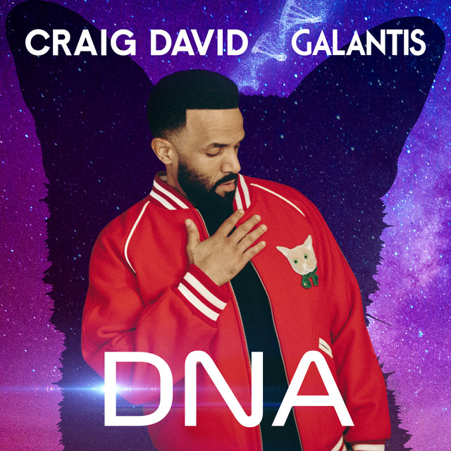 Galantis, Craig David - DNA (Studio Acapella) - Studio Acapella